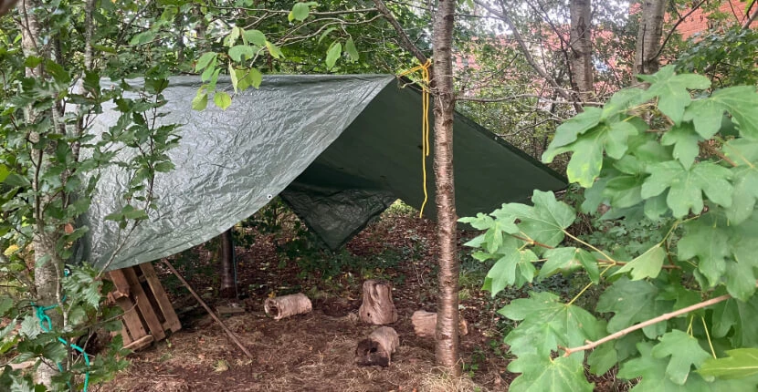 Forest School PPA Cover | PPA Cover in Schools